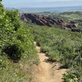 Carpenter Peak Trail, Colorado - 3,601 Reviews, Map | AllTrails