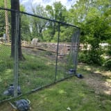 Lorimer Park Loop, Pennsylvania - 967 Reviews, Map | AllTrails