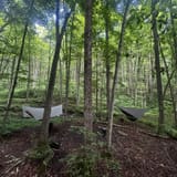 Black Forest North Loop Trail, Pennsylvania - 300 Reviews, Map | AllTrails