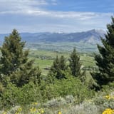 Triple Tree Trail, Montana - 1,361 Reviews, Map | AllTrails