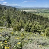 Triple Tree Trail, Montana - 1,361 Reviews, Map | AllTrails