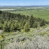 Triple Tree Trail, Montana - 1,361 Reviews, Map | AllTrails