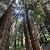 Oak Glen Preserve Trails, California - 792 Reviews, Map | AllTrails