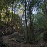 Kahakapao Loop Trail, Maui, Hawaii - 2,262 Reviews, Map | AllTrails