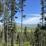 Triple Tree Trail, Montana - 1,361 Reviews, Map | AllTrails