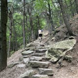 Thousand Steps, Pennsylvania - 1,286 Reviews, Map | AllTrails