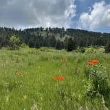 Sunshine Canyon Trail, Colorado - 746 Reviews, Map | AllTrails