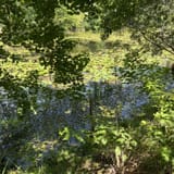 Sheldon Lake State Park Nature Loop, Texas - 245 Reviews, Map | AllTrails