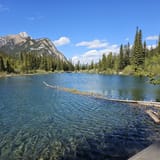 Mount Lorette Pond Trail, Alberta, Canada - 240 Reviews, Map | AllTrails