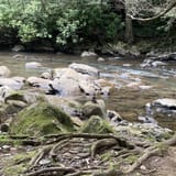 Meadow Run Trail, Pennsylvania - 1,234 Reviews, Map | AllTrails