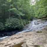 Meadow Run Trail, Pennsylvania - 1,234 Reviews, Map | AllTrails