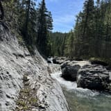 Heart Creek Trail, Alberta, Canada - 3,550 Reviews, Map | AllTrails
