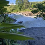 Ferncliff Trail, Pennsylvania - 1,506 Reviews, Map | AllTrails