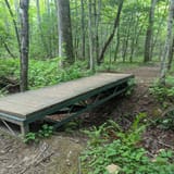 Chestnut Ridge Heritage Preserve Trail, South Carolina - 1,621 Reviews ...