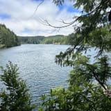 Eel Lake Trail, Oregon - 411 Reviews, Map | AllTrails