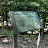 Hemlock Loop Trail, Ohio - 1,202 Reviews, Map | AllTrails