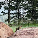National Center for Atmospheric Research (NCAR) Ramble Trail, Colorado ...
