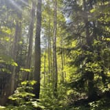 Agnes Gorge Trail, Washington - 129 Reviews, Map | AllTrails