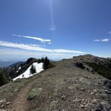 Mount Townsend Trail, Washington - 1,874 Reviews, Map | AllTrails