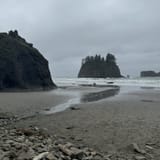Second Beach, Washington - 1,783 Reviews, Map | AllTrails