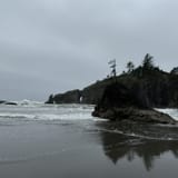 Second Beach, Washington - 1,783 Reviews, Map | AllTrails