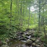 Nebraska Notch via Lake Mansfield Trail, Vermont - 736 Reviews, Map ...