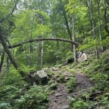Nebraska Notch via Lake Mansfield Trail, Vermont - 736 Reviews, Map ...