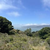 Angel Island Perimeter Loop, California - 1,751 Reviews, Map | AllTrails