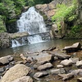 Hawk Falls Trail, Pennsylvania - 2,985 Reviews, Map | AllTrails