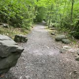 Hawk Falls Trail, Pennsylvania - 2,985 Reviews, Map | AllTrails