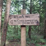 Tradition Lake Loop Trail, Washington - 1,643 Reviews, Map | AllTrails