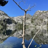 Eagle Lake Trail, California - 5,401 Reviews, Map | AllTrails