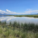 Benson Railroad Bridge Trail, Utah - 53 Reviews, Map | AllTrails