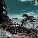 Lighthouse Park Viewpoint Loop, British Columbia, Canada - 1,746 ...