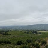 Shelf Road Trail, California - 983 Reviews, Map | AllTrails