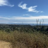 Inspiration Point Loop, California - 4,930 Reviews, Map | AllTrails