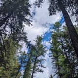 Apgar Bike Trail, Montana - 348 Reviews, Map | AllTrails