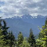 Mount Walker, Washington - 2,176 Reviews, Map | AllTrails