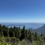 Mount Walker, Washington - 2,142 Reviews, Map | AllTrails