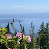 Mount Walker, Washington - 2,176 Reviews, Map | AllTrails
