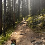 Lava Lake Trail, Montana - 3,165 Reviews, Map | AllTrails