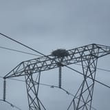 Powerline on Lake Flora Road, Washington - 4 Reviews, Map | AllTrails