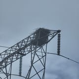 Powerline on Lake Flora Road, Washington - 4 Reviews, Map | AllTrails