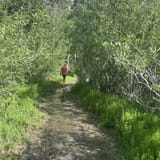 Convict Lake Loop, California - 2,075 Reviews, Map | AllTrails