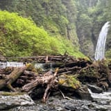 Indian River Trail, Alaska - 268 Reviews, Map | AllTrails
