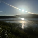 Cash Lake Loop Trail, Maryland - 1,144 Reviews, Map | AllTrails