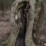 Sprague Brook Park Trail, New York - 1,392 Reviews, Map | AllTrails