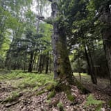 Sprague Brook Park Trail, New York - 1,392 Reviews, Map | AllTrails