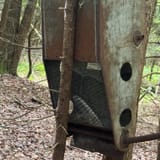 Sprague Brook Park Trail, New York - 1,392 Reviews, Map | AllTrails