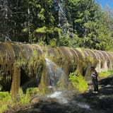 Toketee Falls, Oregon - 2,224 Reviews, Map | AllTrails